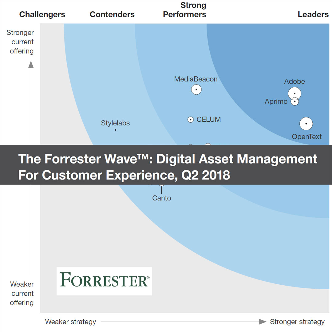 Forrester Wave Digital Asset Management, Q2 2018 » Skillz ME Forrester Wave Digital Asset Management, Q2 2018 » Skillz ME