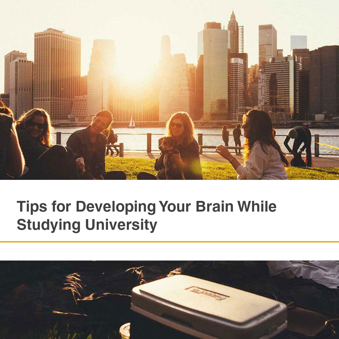 Brain Development Tips While Studying University » Skillz Middle East