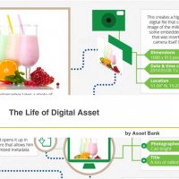 Advantage of a Digital Asset Management Software » Skillz ME