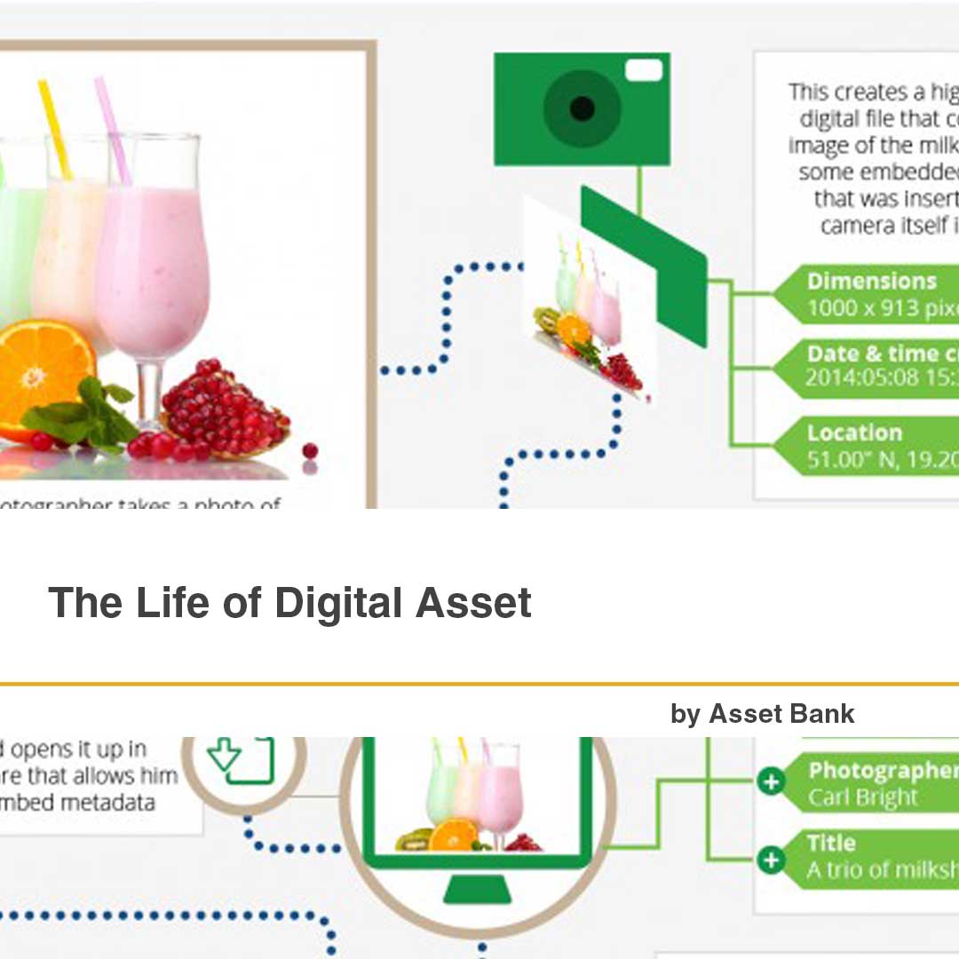 The Life of a Digital Asset [Infographic] » Skillz Middle East