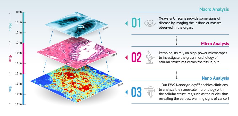 2025 Infographic Design Trends: New Ideas & Approaches