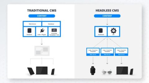 OpenText Web CMS (TeamSite) » Skillz Middle East
