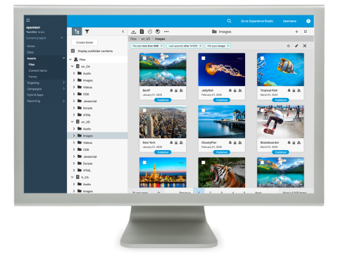 OpenText Web CMS (TeamSite) » Skillz Middle East