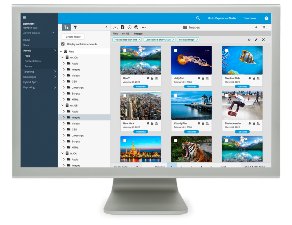 OpenText Web CMS (TeamSite) » Skillz Middle East